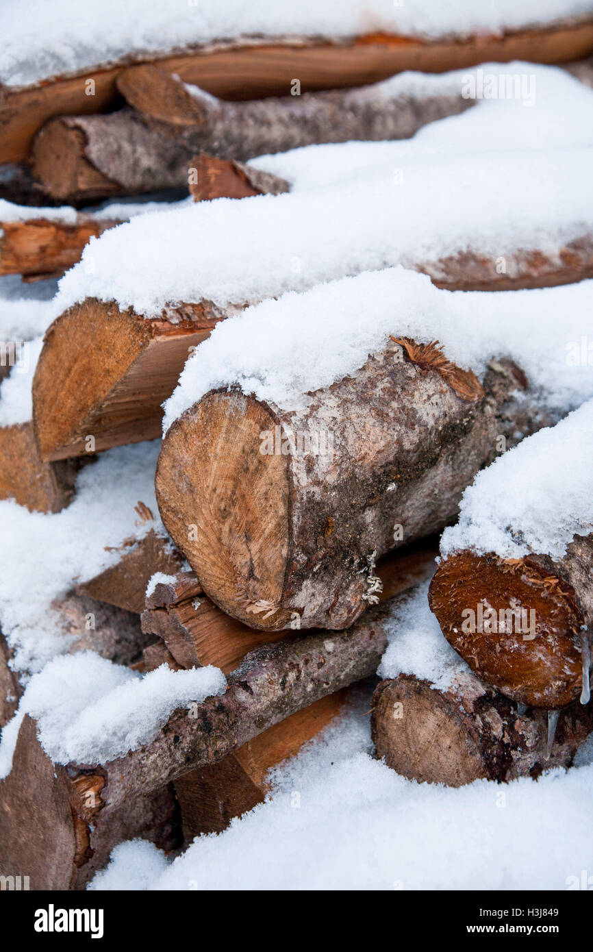 Group of piled firewood in winter with snow on top Stock Photo - Alamy