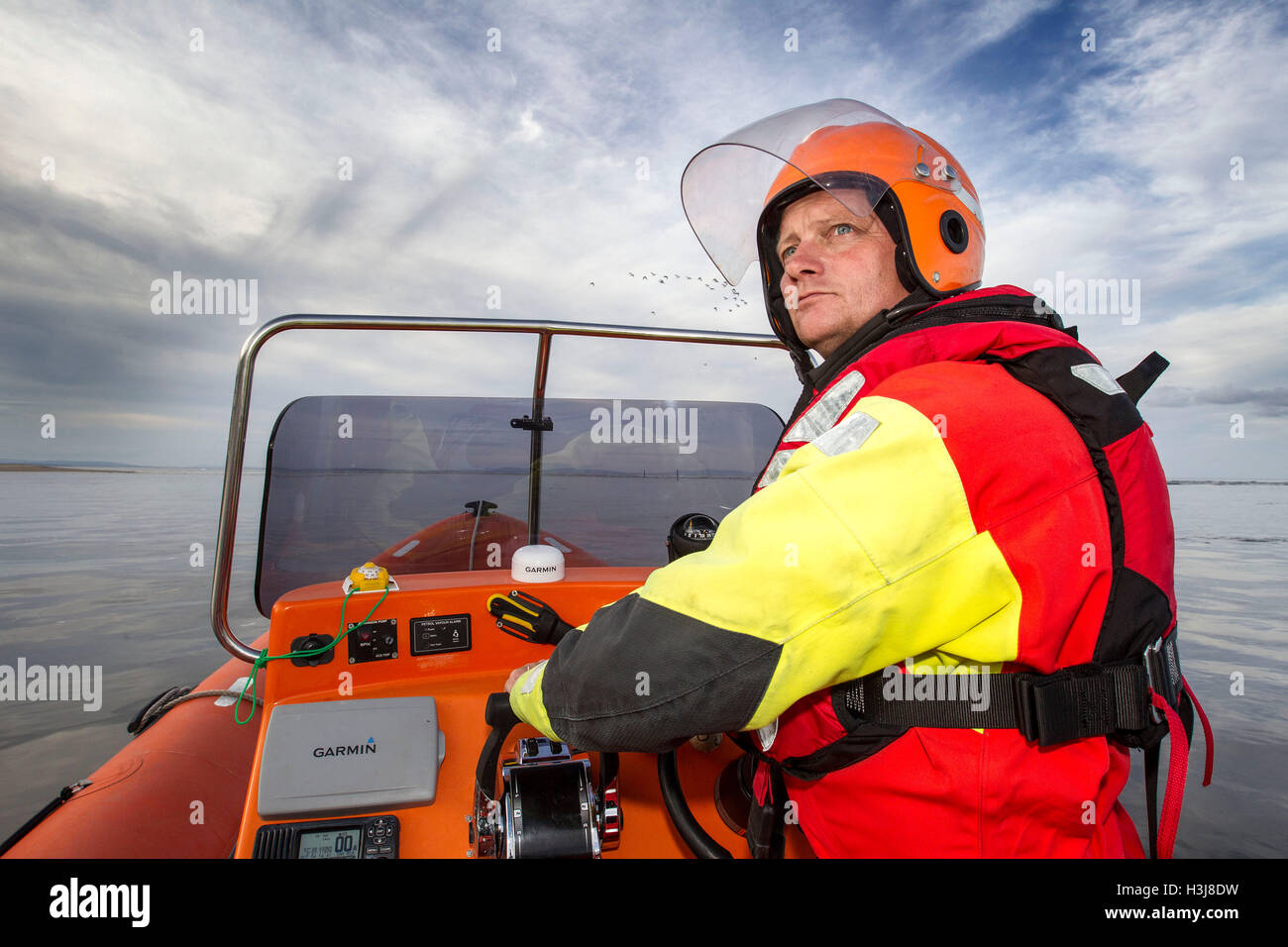 Rib structure hi-res stock photography and images - Alamy