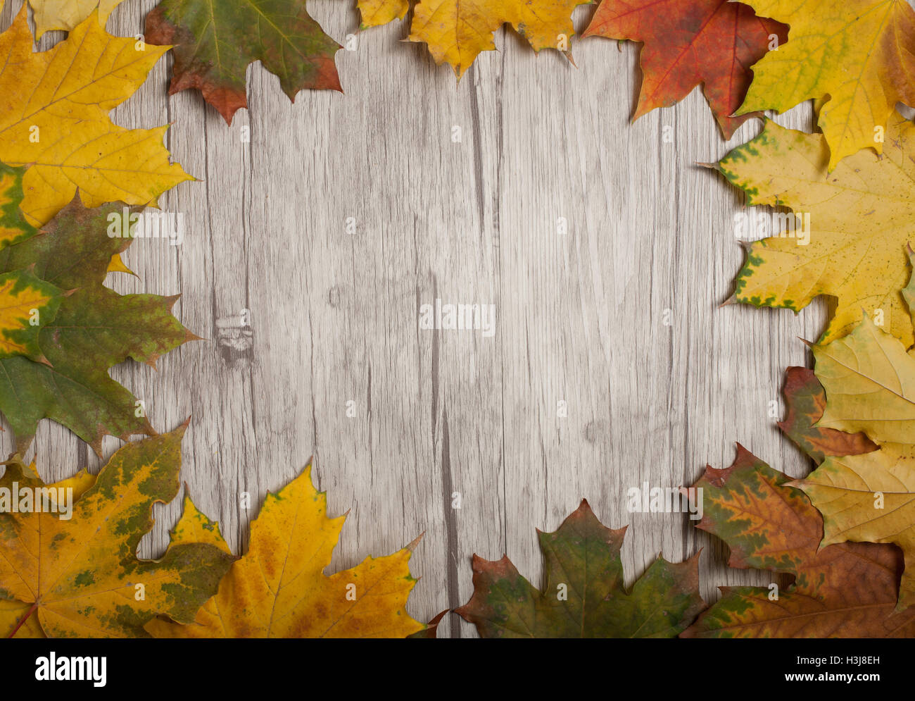 Autumn background made of board and leaves Stock Photo - Alamy