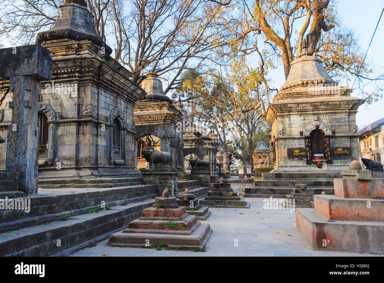 Small hindu shrine kathmandu nepal hi-res stock photography and images ...