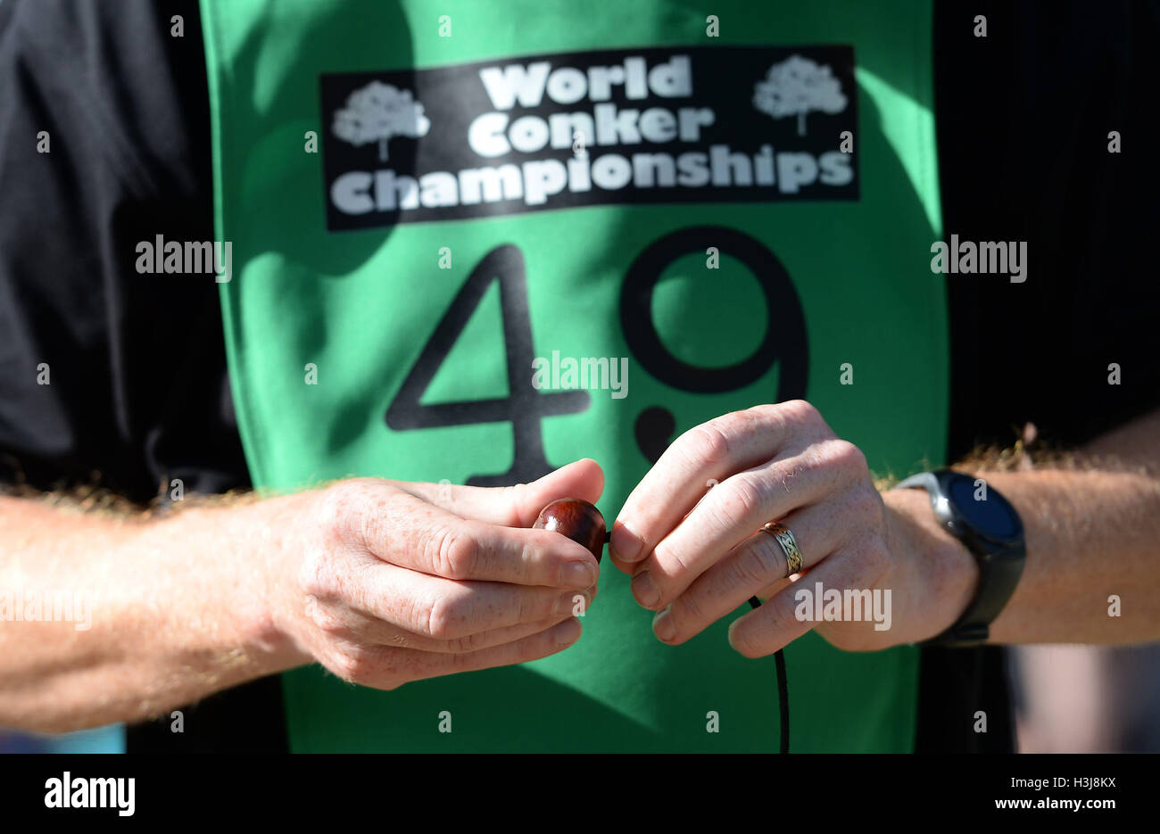 A competitor strings his conker during the 51st World Conker ...