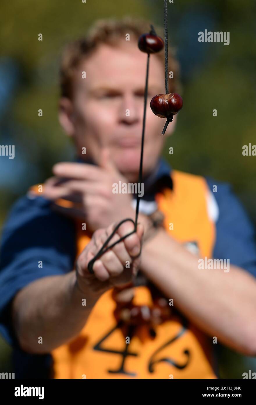 51st world conker championships shuckburgh arms hi-res stock ...