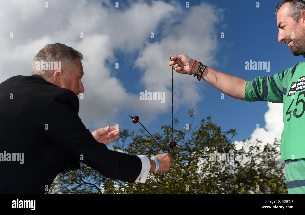 51st world conker championships shuckburgh arms hi-res stock ...