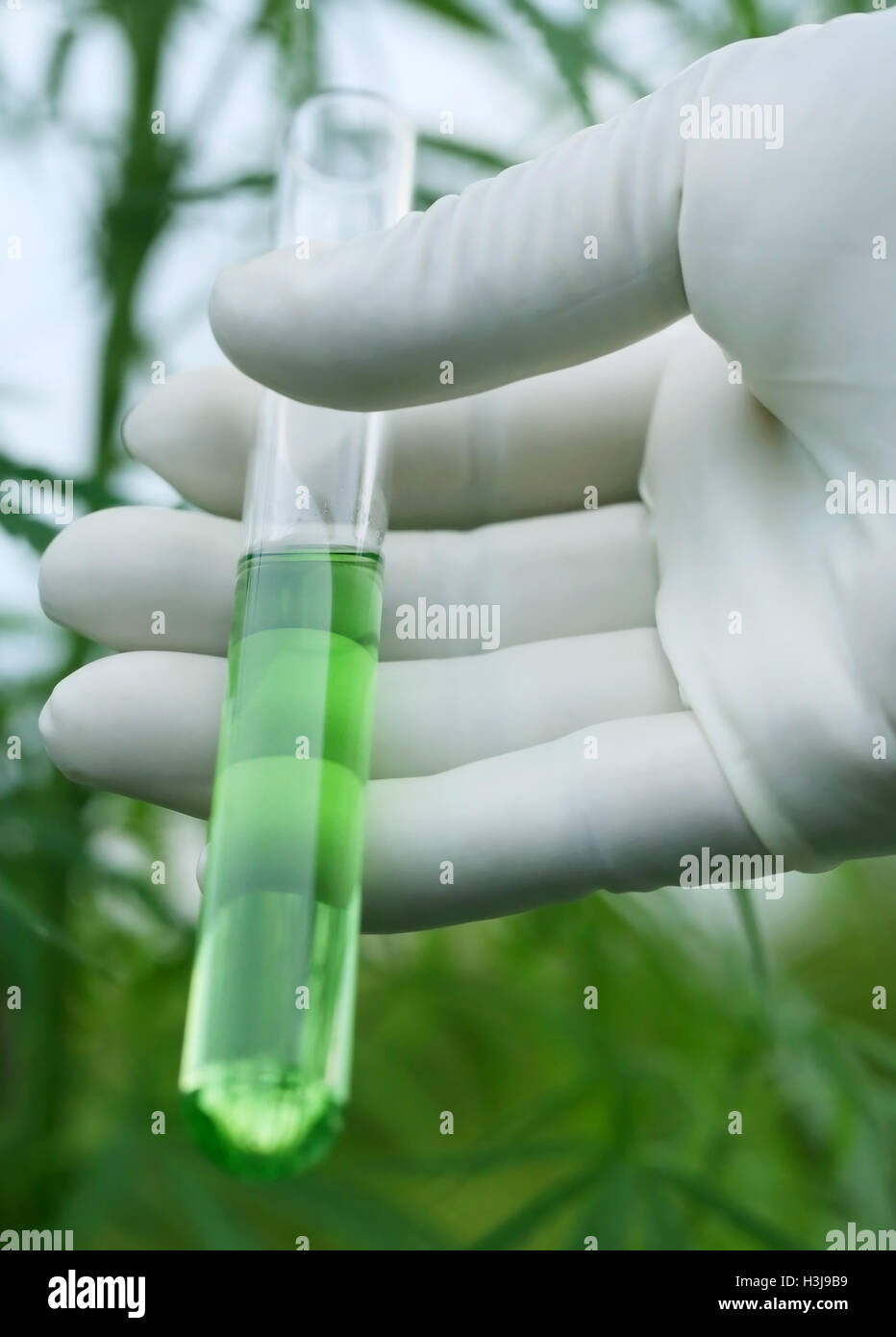 Laboratory vial hi-res stock photography and images - Alamy