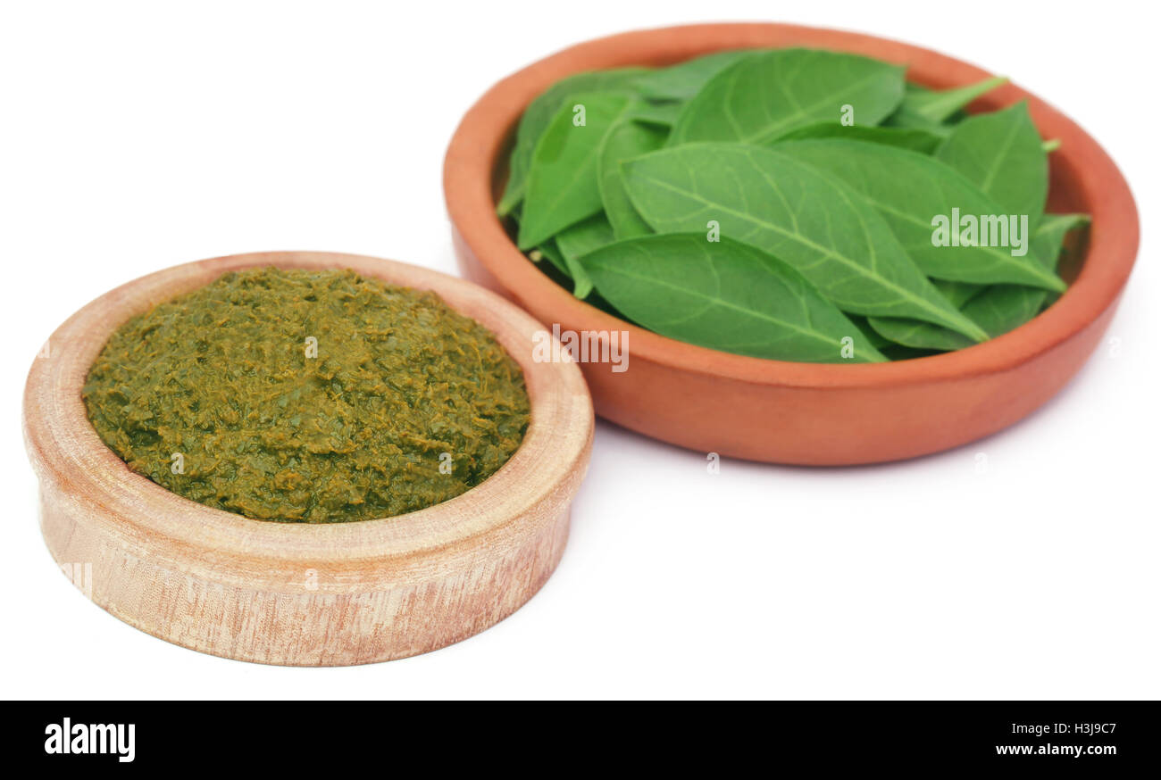 Ayurvedic henna leaves mashed and whole in bowls Stock Photo - Alamy