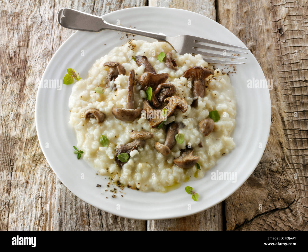 Sauteed wild organic Pied Bleu Mushrooms (Clitocybe nuda), Blewit or ...
