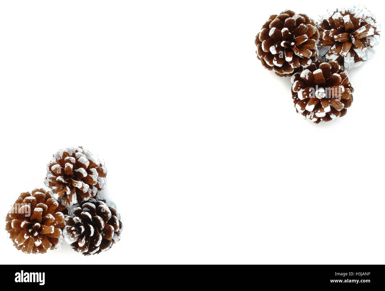 December holiday Cut Out Stock Images & Pictures - Alamy