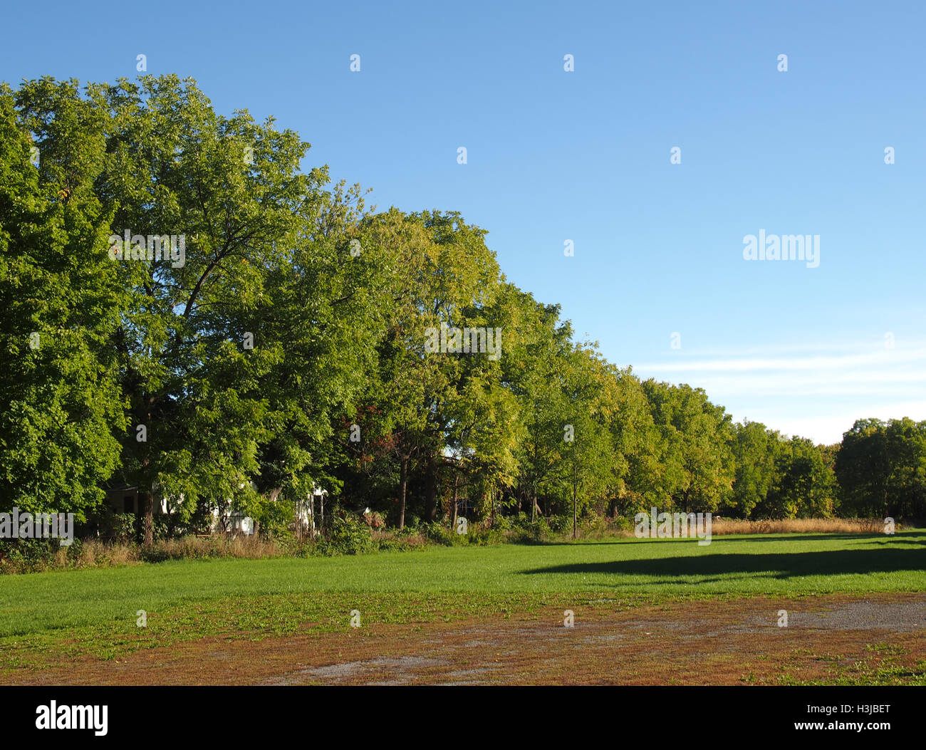 Vast lawn and trees hi-res stock photography and images - Alamy