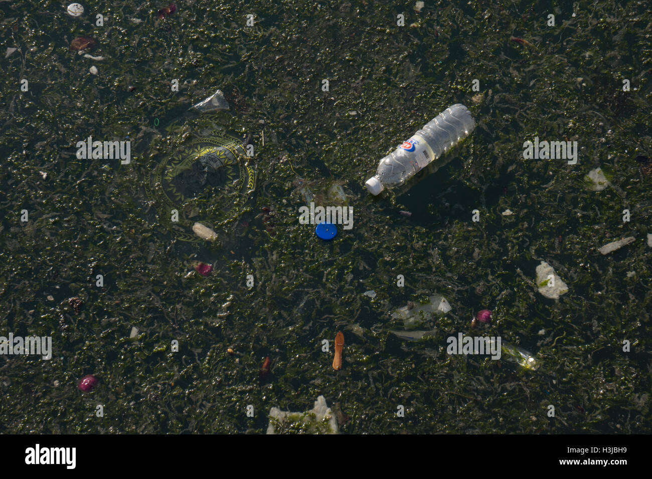 Sea pollution hi-res stock photography and images - Alamy