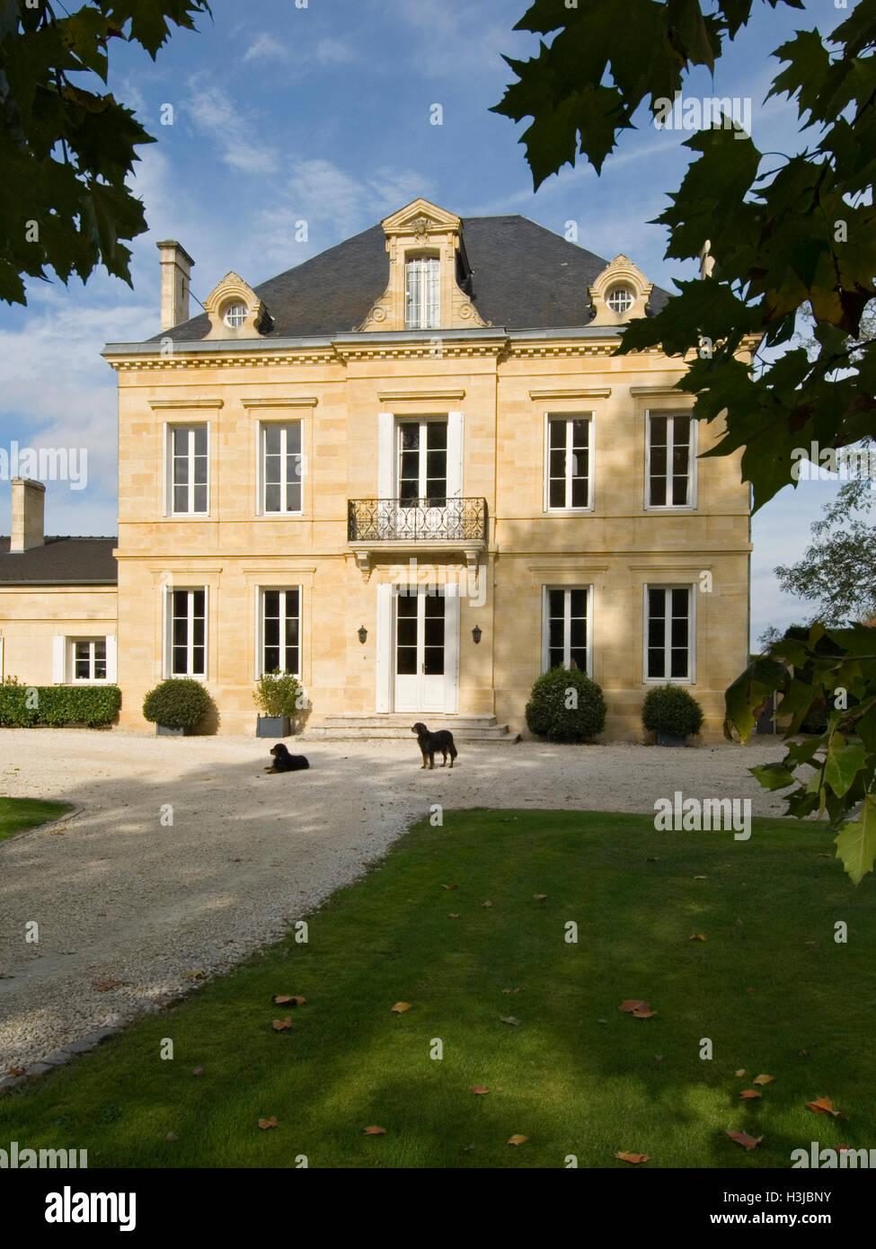 Vigonet saint emilion gironde france hi-res stock photography and ...