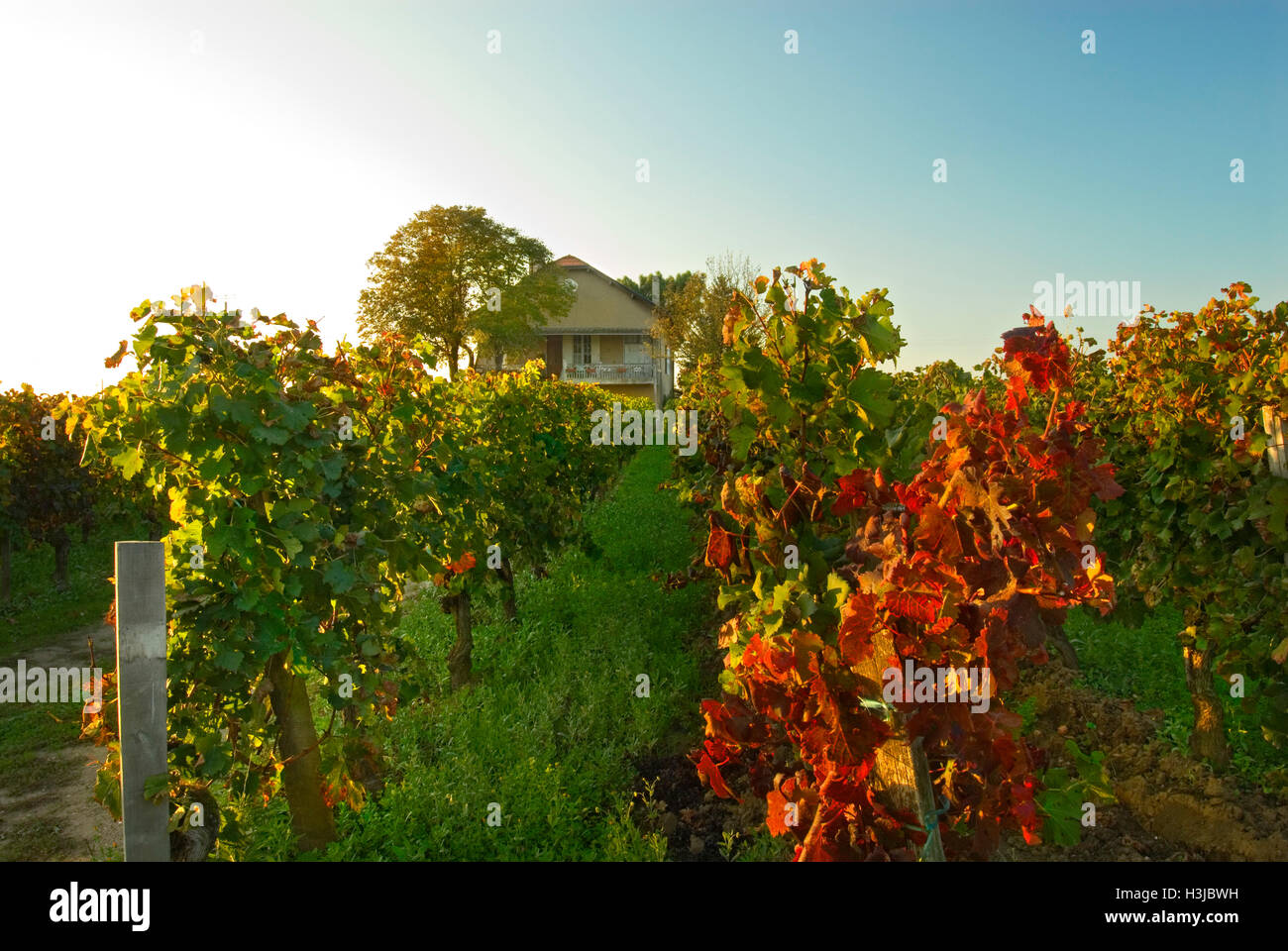 The original Chateau Le Pin in 2006 before modern additions with its ...