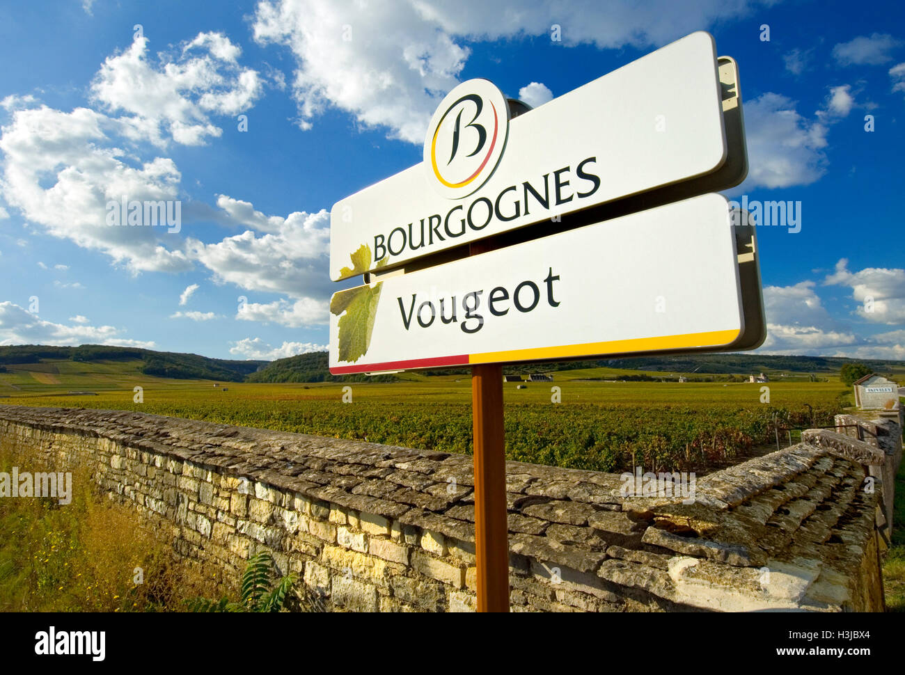 Vougeot vineyards hi-res stock photography and images - Alamy