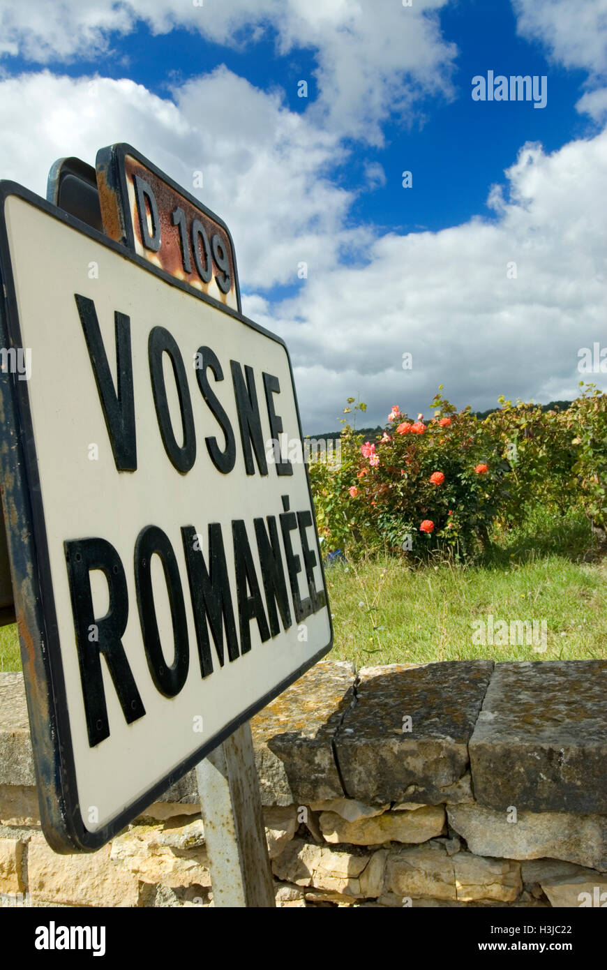 Vosne Romanee High Resolution Stock Photography and Images - Alamy
