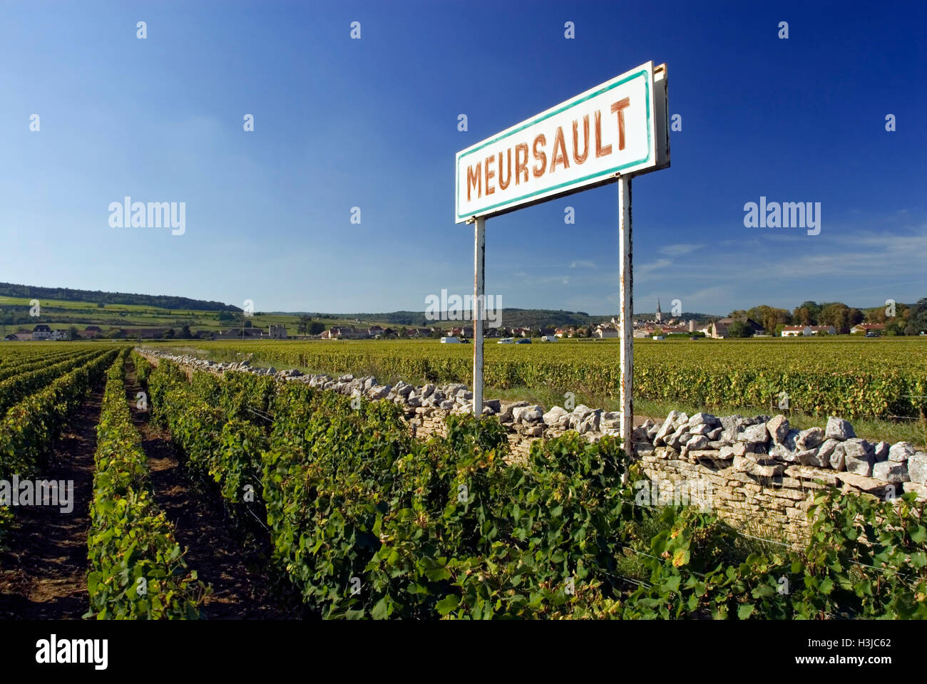 Vineyardsmeursault hi-res stock photography and images - Alamy