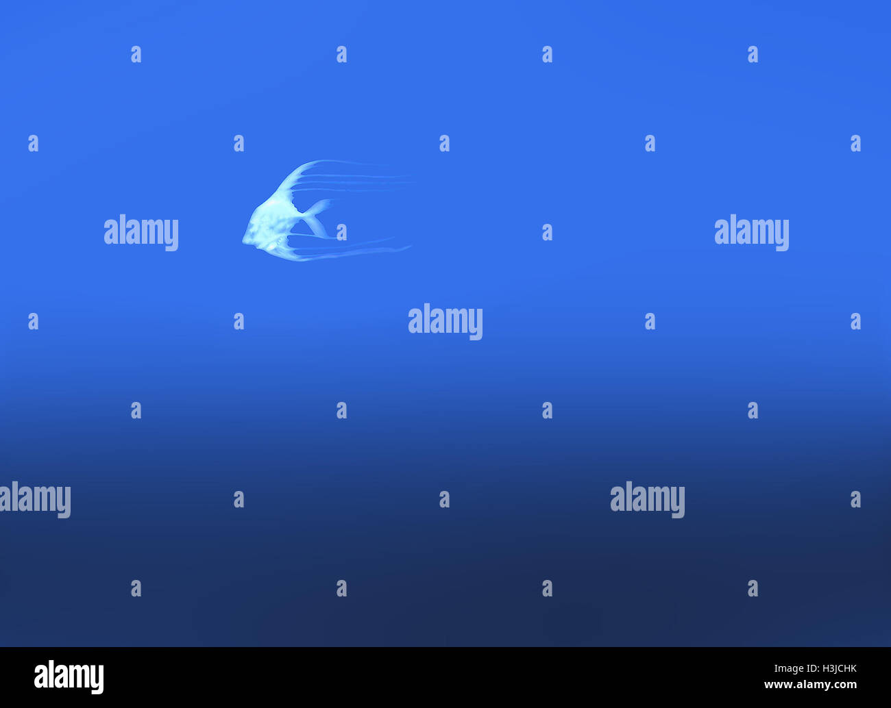 Single small fish swimming in blue ocean Stock Photo - Alamy
