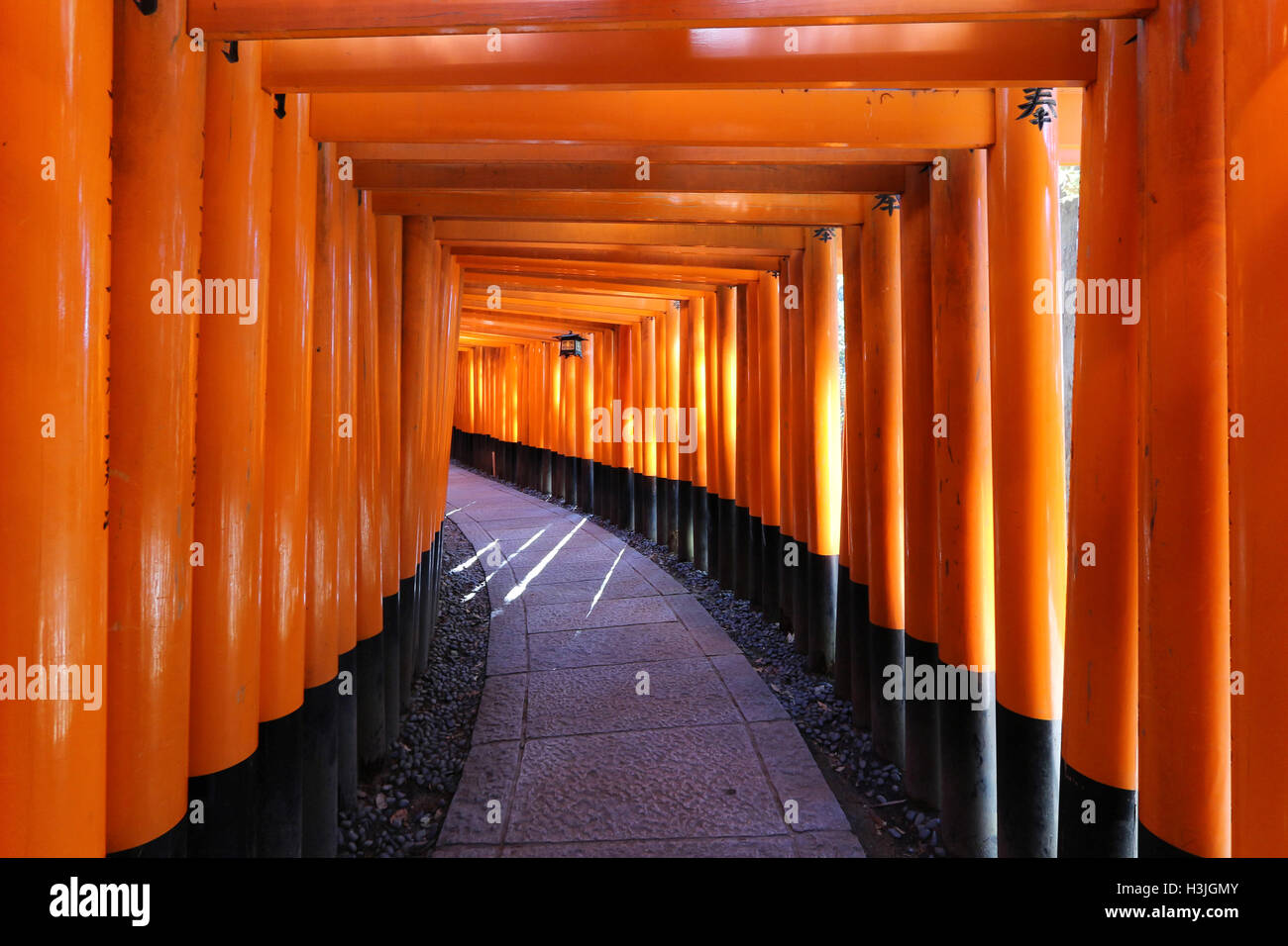 Fushimi Inari Shrine - Walk thorugh Torii Gates Stock Photo - Alamy