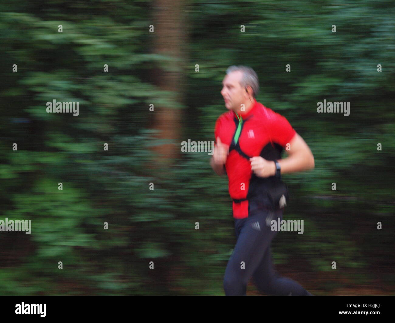 Man running in the park Stock Photo - Alamy