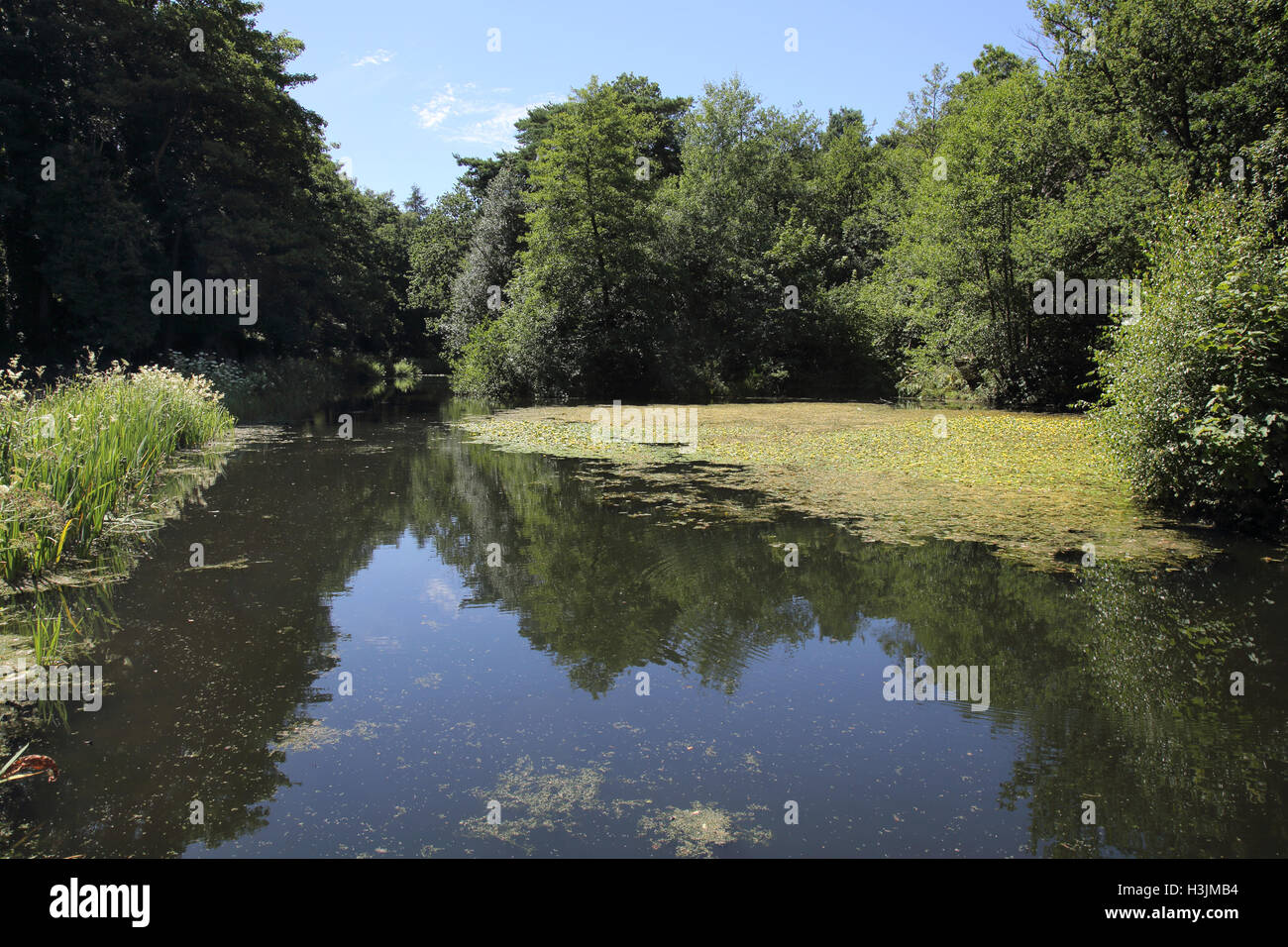 baisingstoke canal at deepcut surrey Stock Photo - Alamy