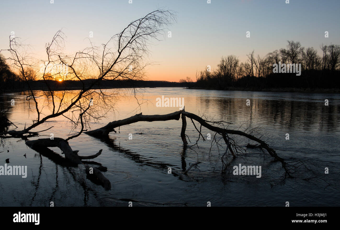 Trees by the river Stock Photo - Alamy