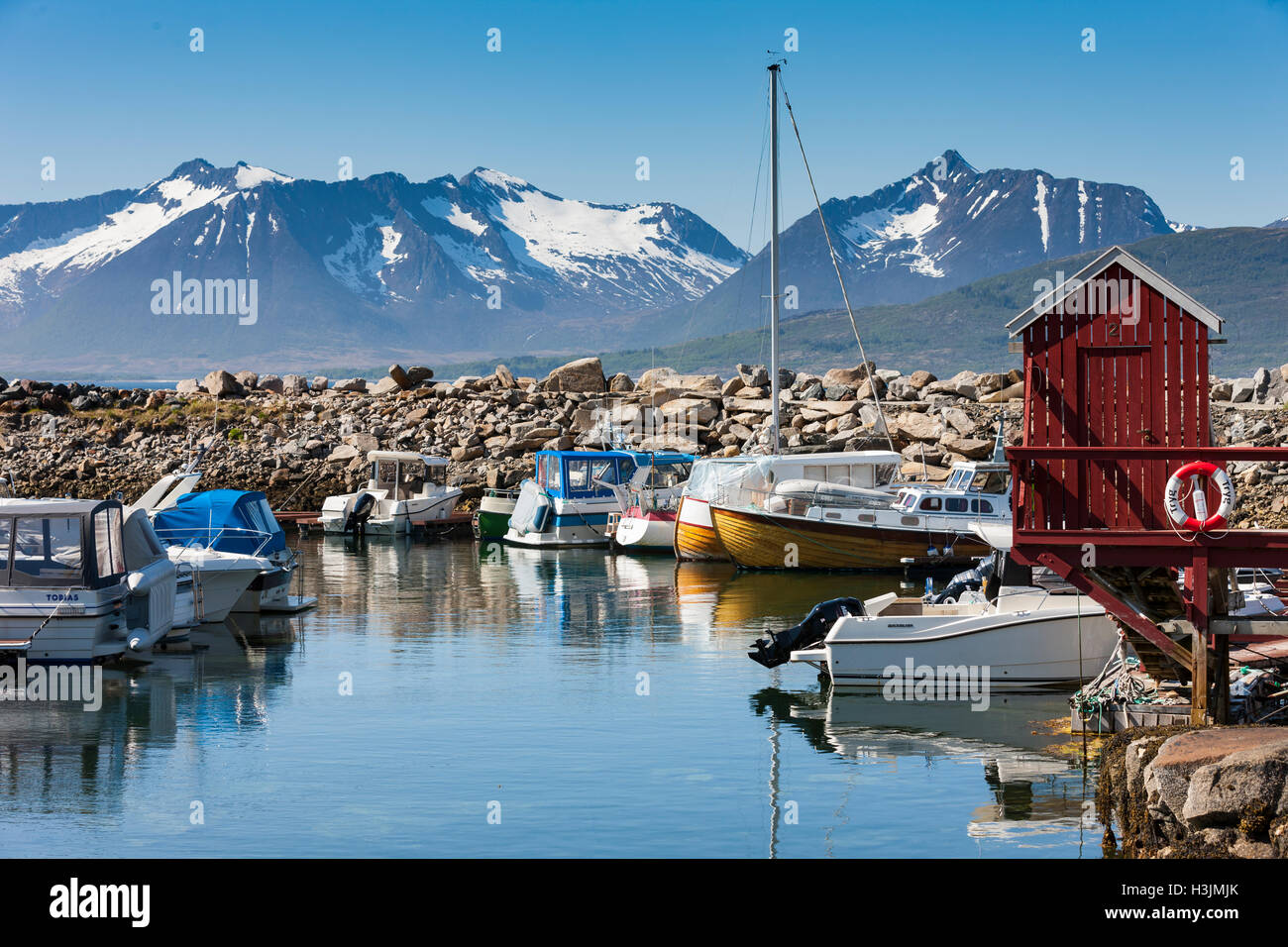 The pretty harbour at Tovik, Norway. A small fishing boat harbour close ...
