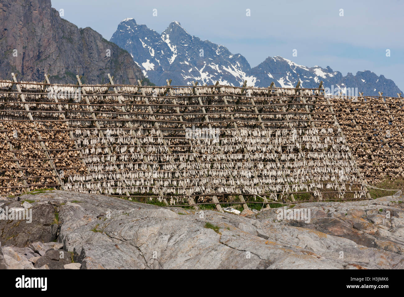 Ubiquitous fish drying racks face the ocean to air dry in the sea winds ...