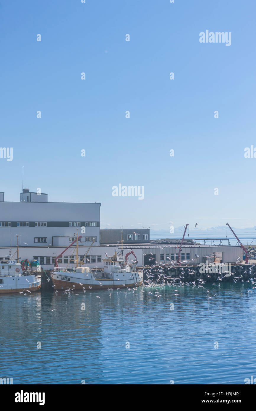 Moskenes harbour and ferry port, Lofoten Islands, Norway Stock Photo ...