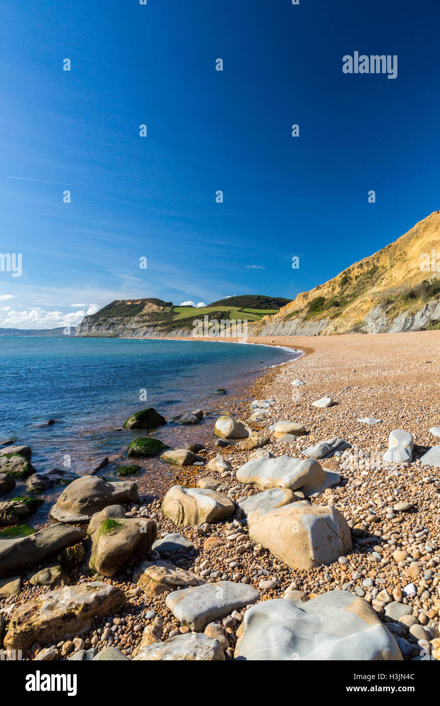 Seatown dorset cliffs hi-res stock photography and images - Alamy