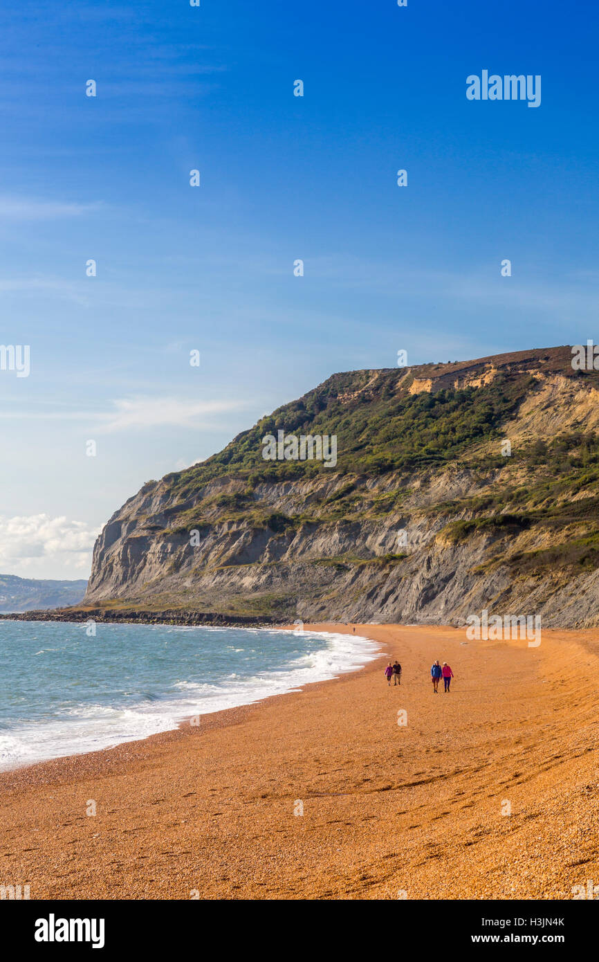 Golden Cap (highest cliff on south coast of England) from Seatown beach ...