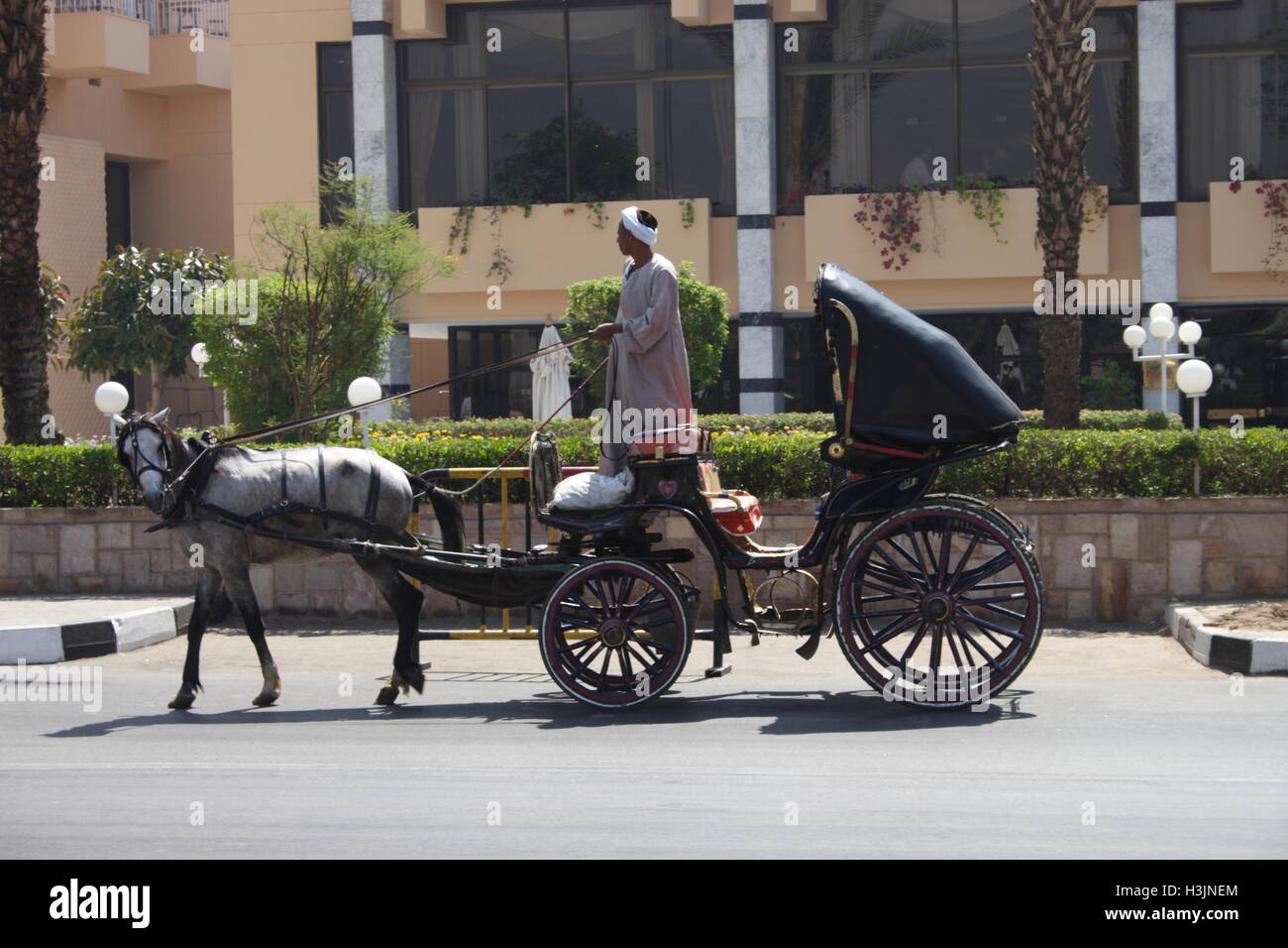 A horse driven Carriage with the driver standing Stock Photo - Alamy