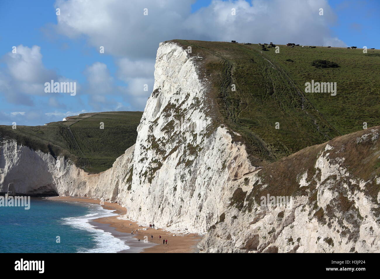 White chalk cliffs, looking along the cliff top and beach with people ...