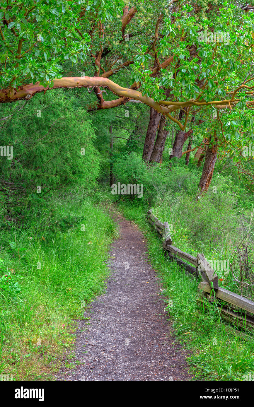 English Camp Trail High Resolution Stock Photography and Images - Alamy