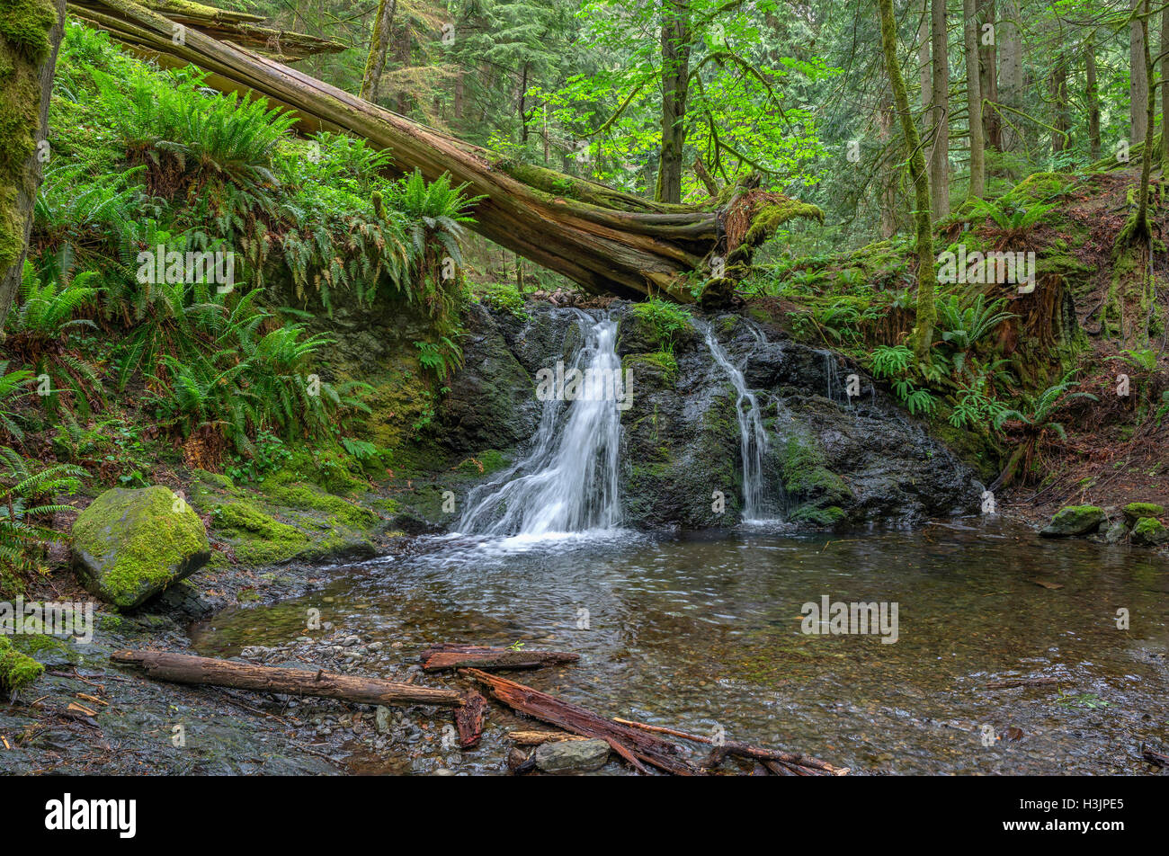 USA, Washington, San Juan Islands, Orcas Island, Moran State Park ...