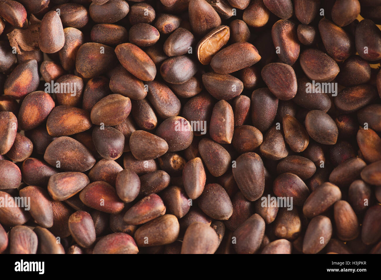 Pine nut tree hi-res stock photography and images - Alamy