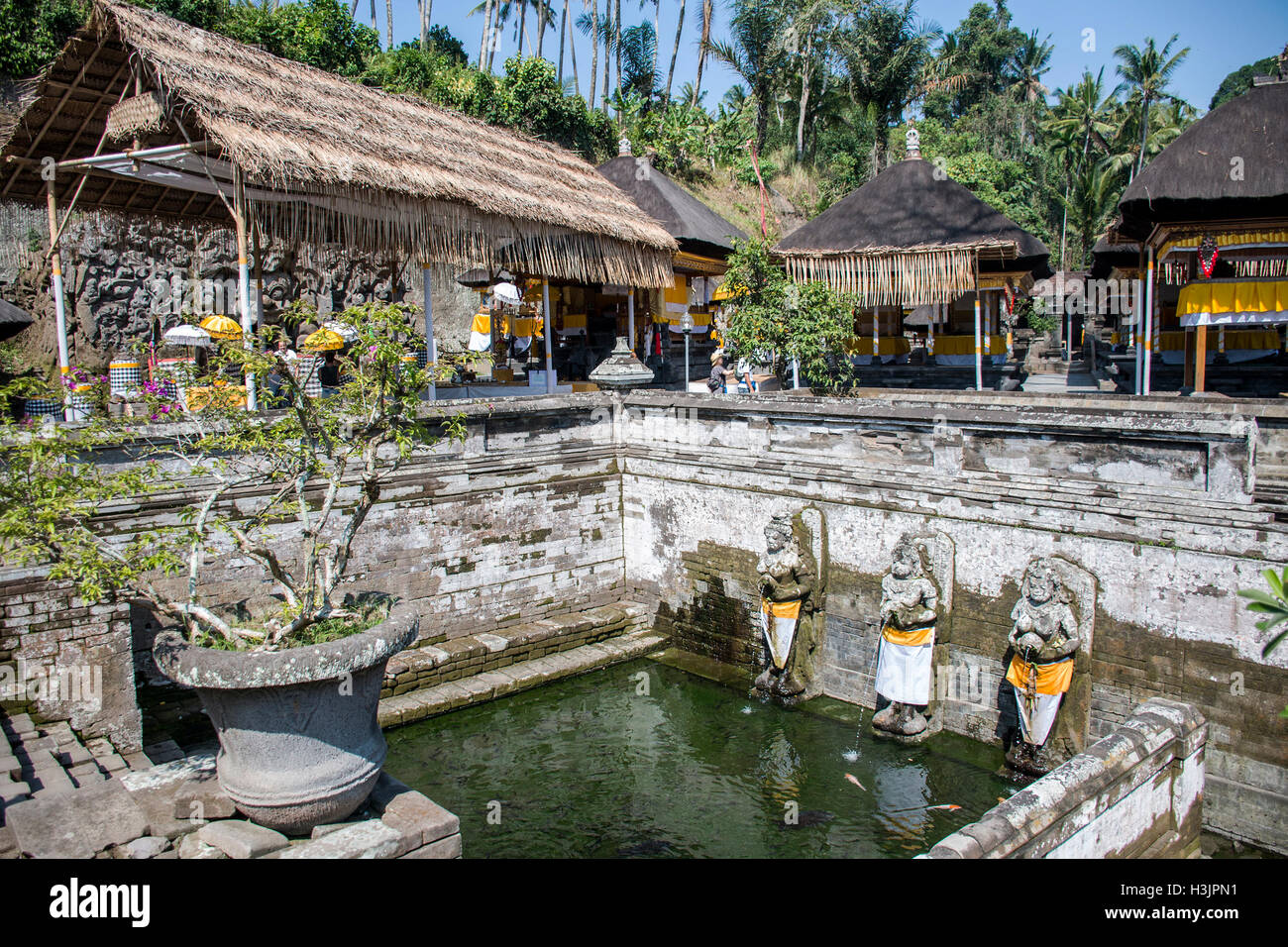 Bali Elephant Cave in Ubud - Goa Gajah Temple in the jungle 2 Stock ...