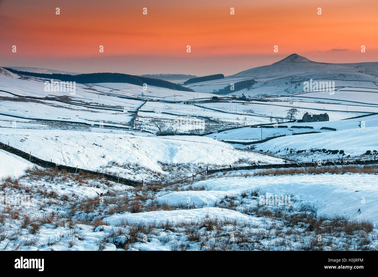 Torgate farm hi-res stock photography and images - Alamy