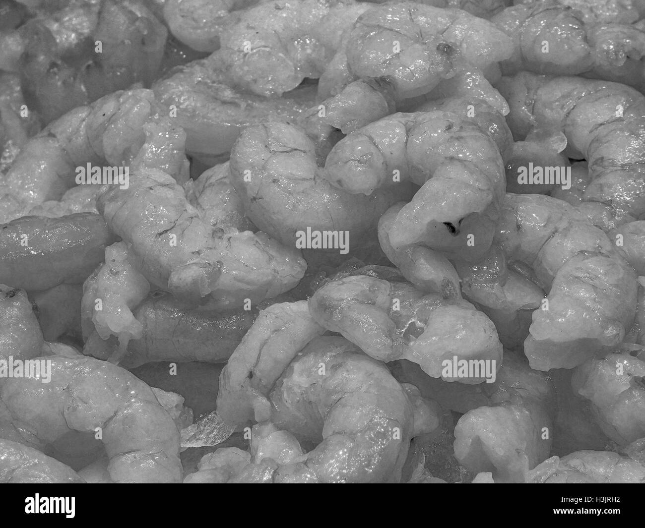 Seafood raw texture Black and White Stock Photos & Images - Alamy