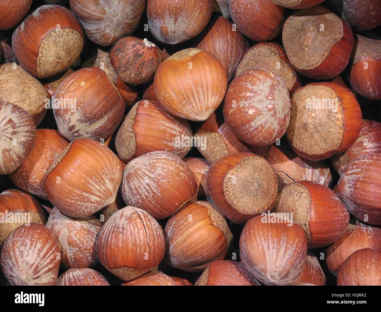Texture of hazelnuts Stock Photo - Alamy