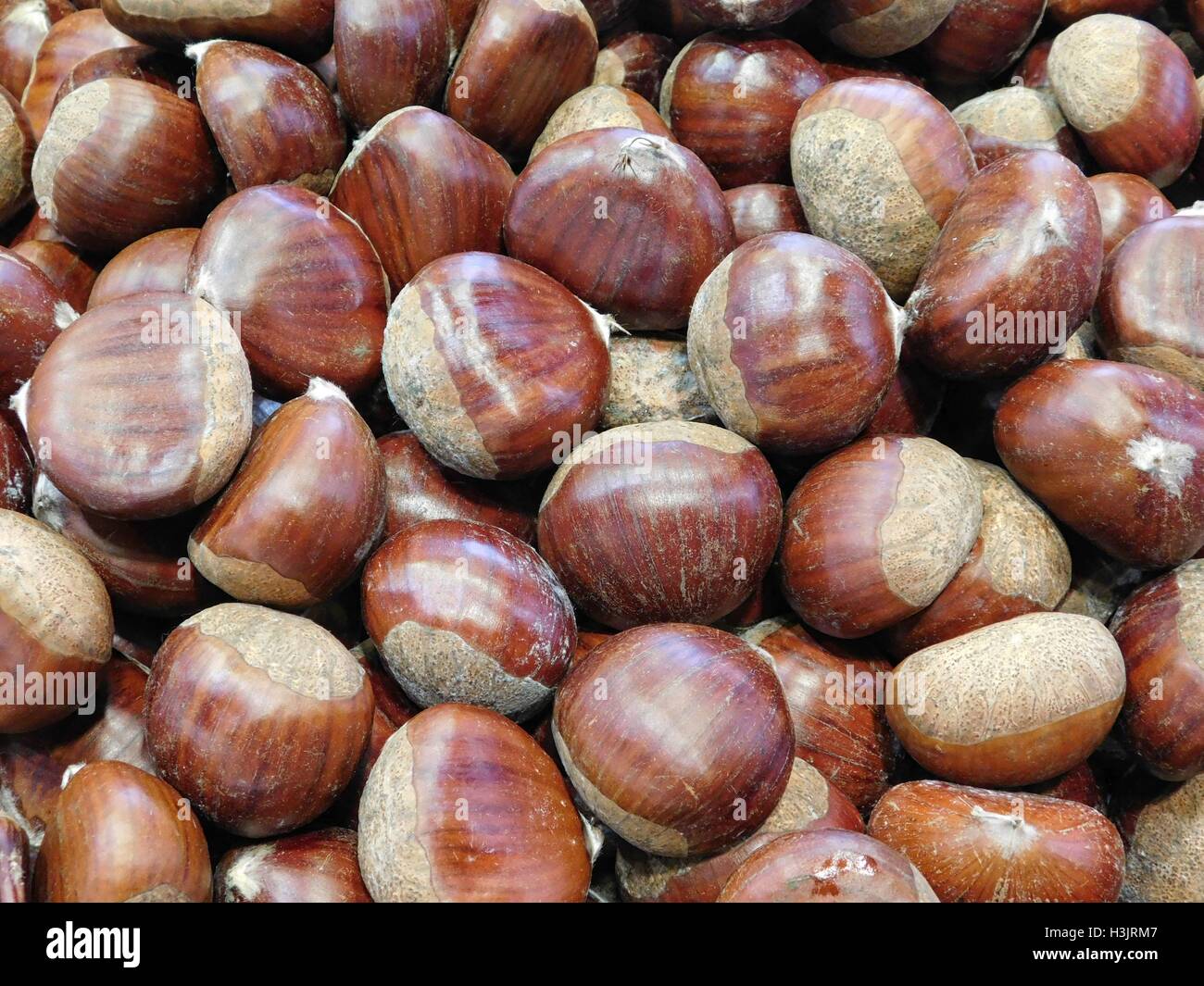Texture of chestnuts Stock Photo - Alamy