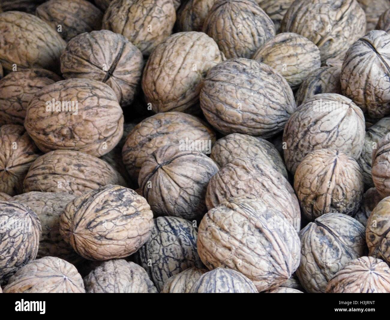 Nuts with shell Stock Photo - Alamy