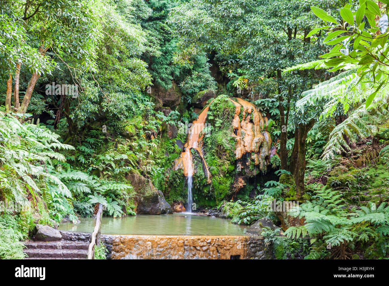 Natural Park Caldeira Velha near Ribeira Grande town, Sao Miguel island ...
