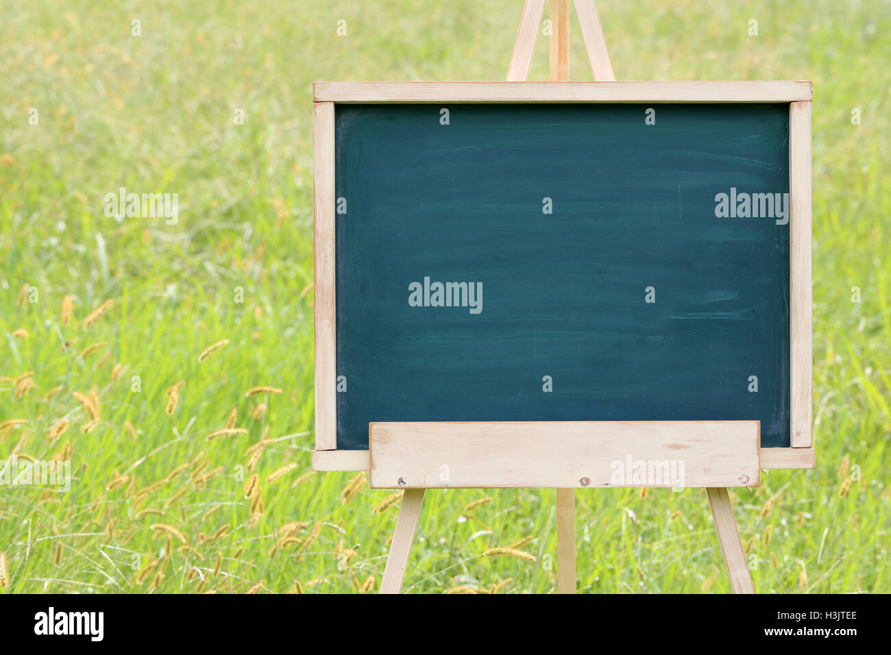 empty chalkboard with wooden easel on green field background Stock ...
