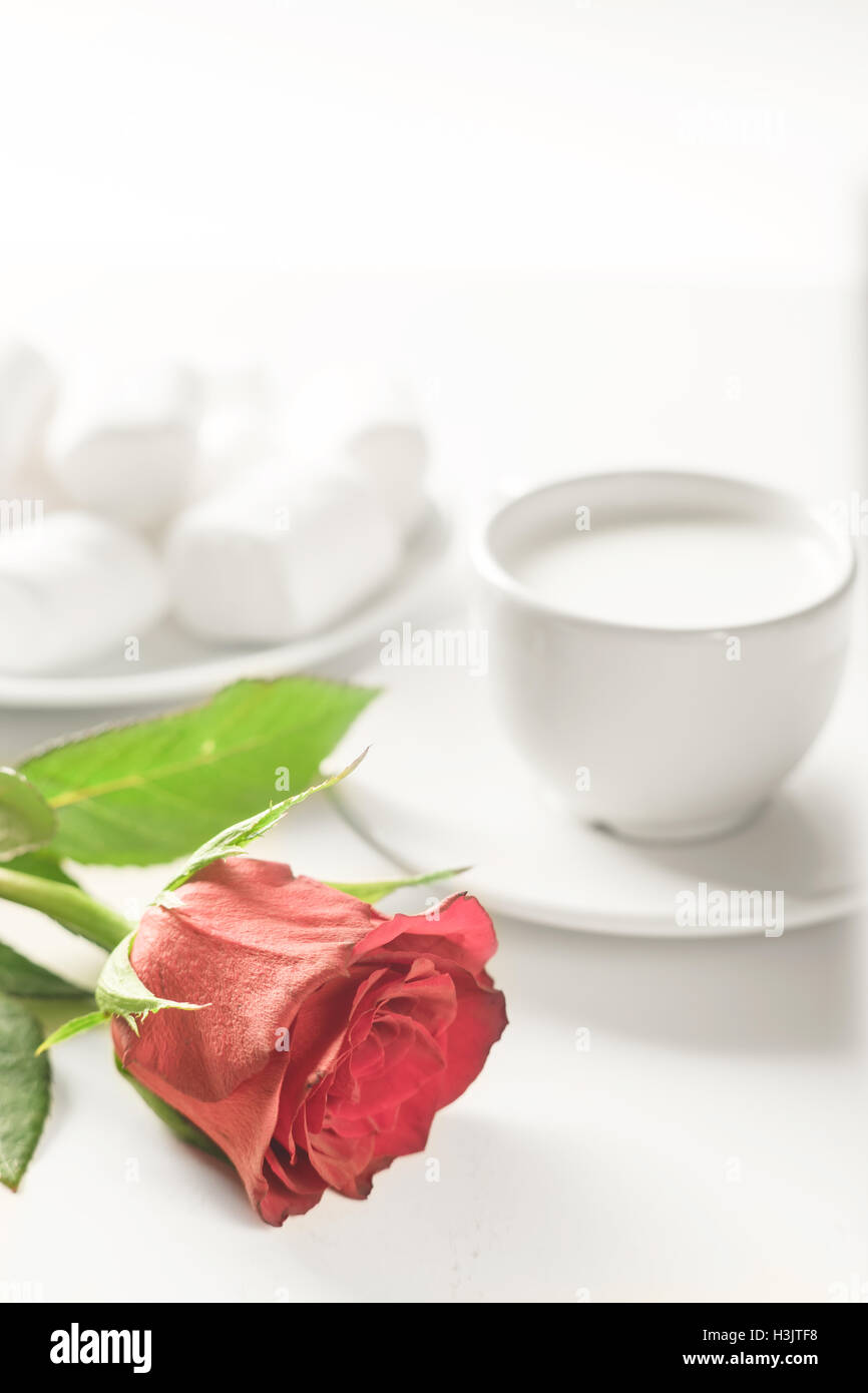 High key still life hi-res stock photography and images - Alamy