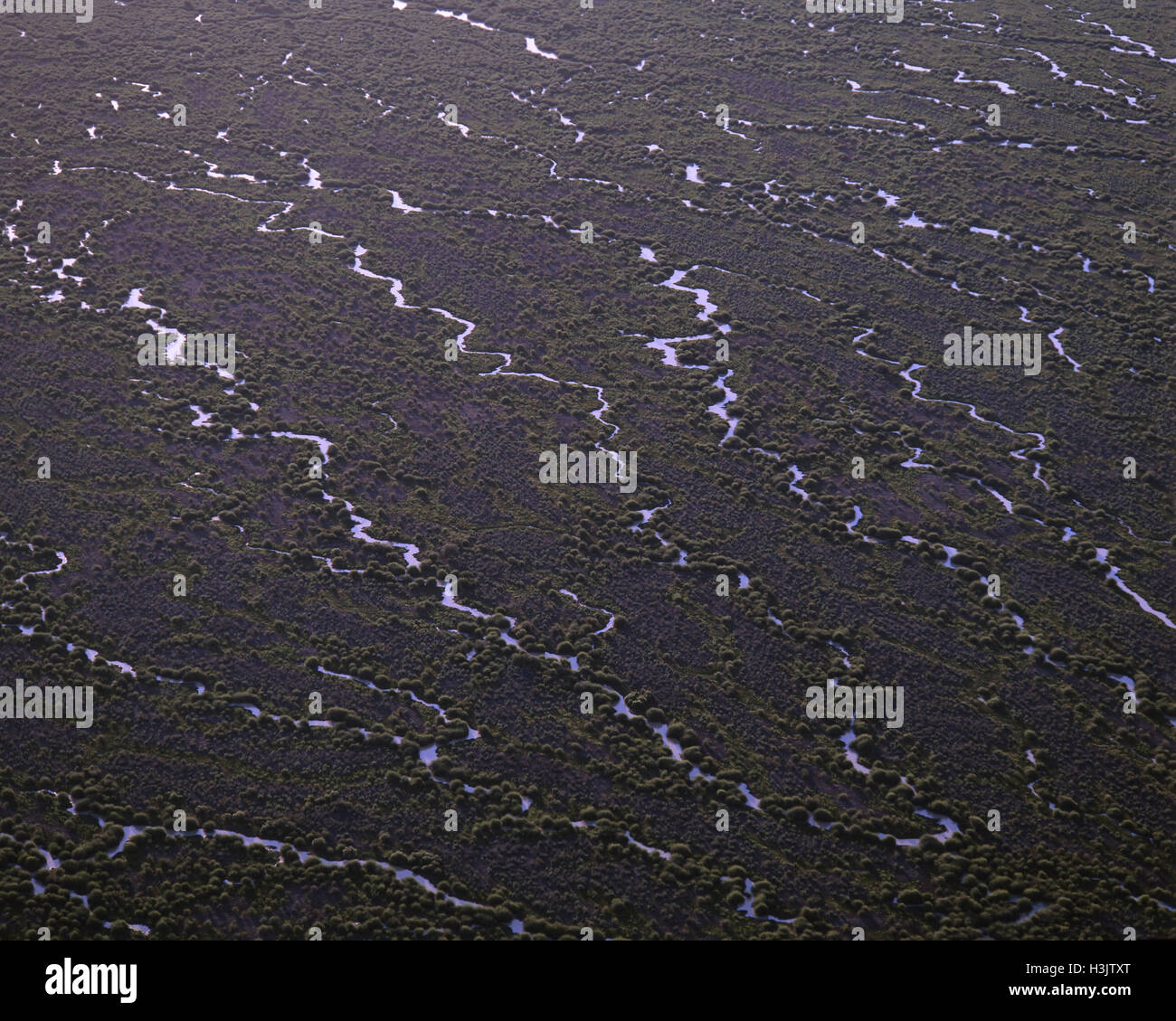 Sand dunes after rain Stock Photo - Alamy