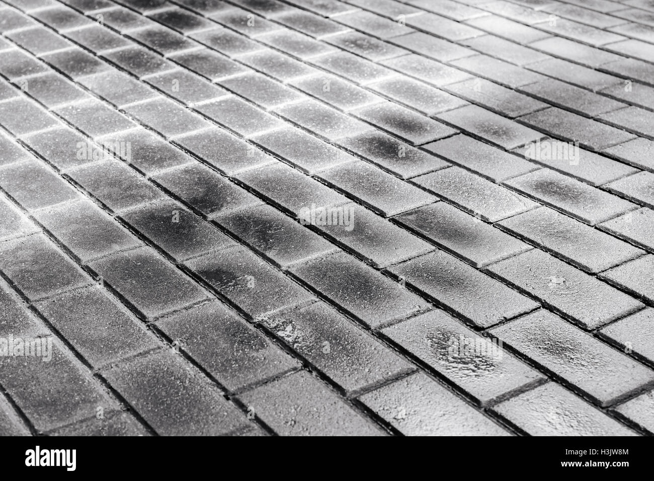 sun rays throw light on dark grey sidewalk drying after rain Stock ...