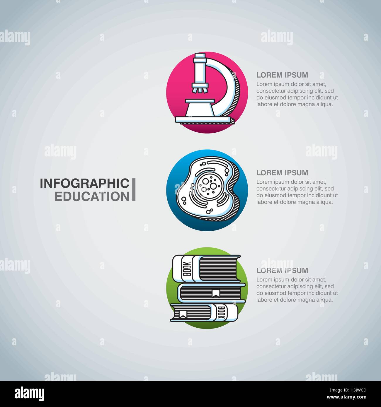 infographic education presentation icons Stock Vector Image & Art - Alamy