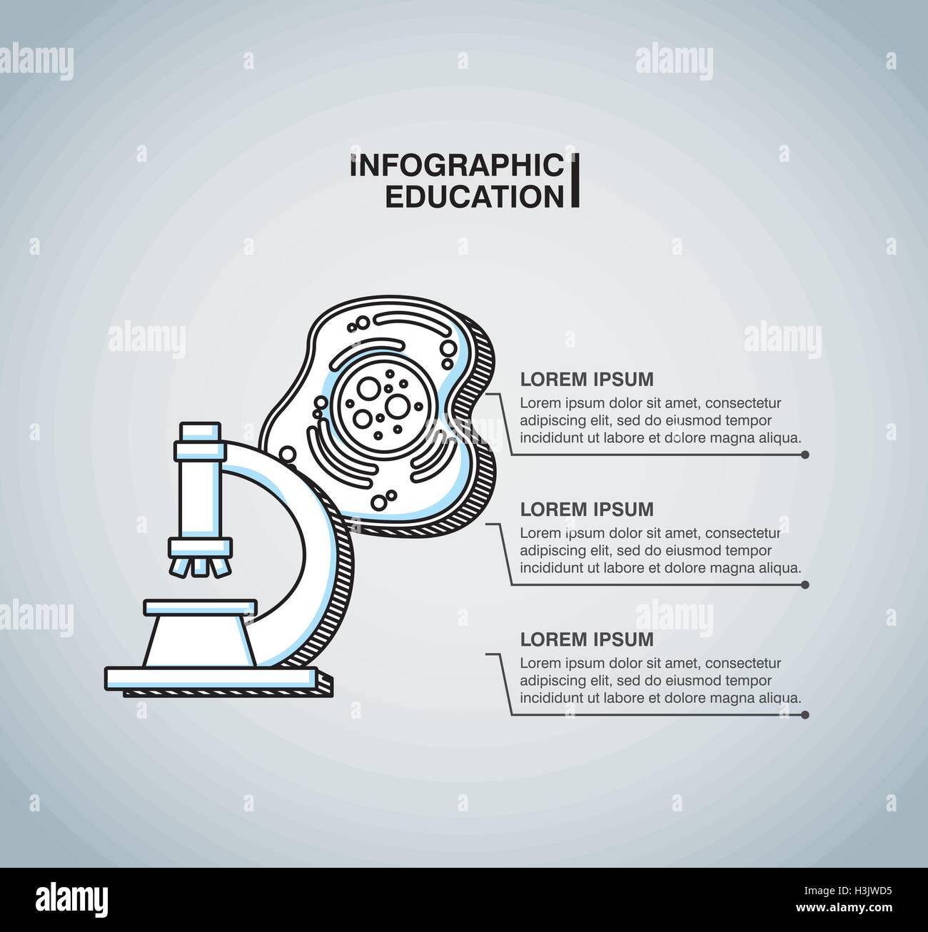 infographic education presentation icons Stock Vector Image & Art - Alamy