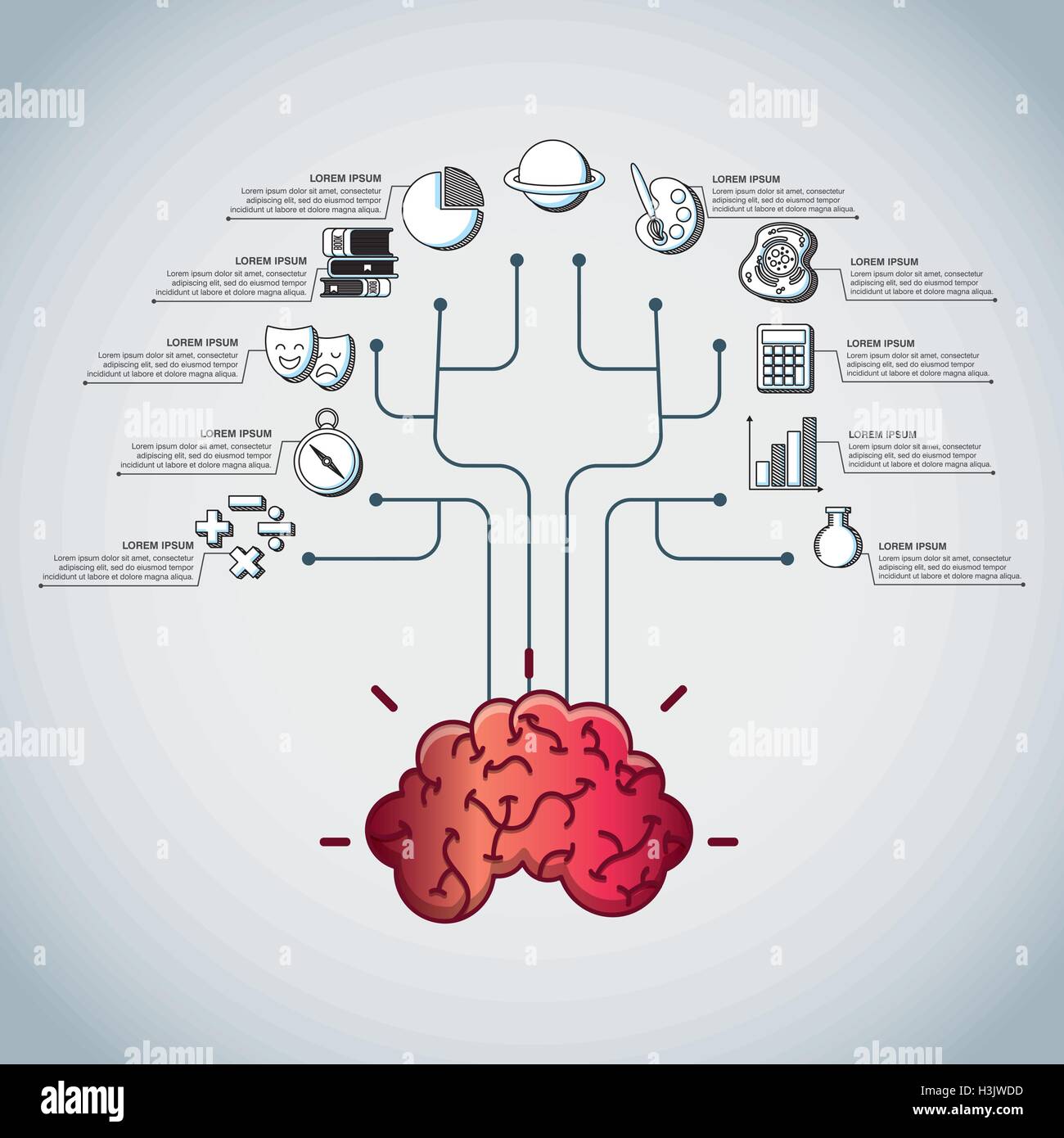 infographic education presentation icons Stock Vector Image & Art - Alamy