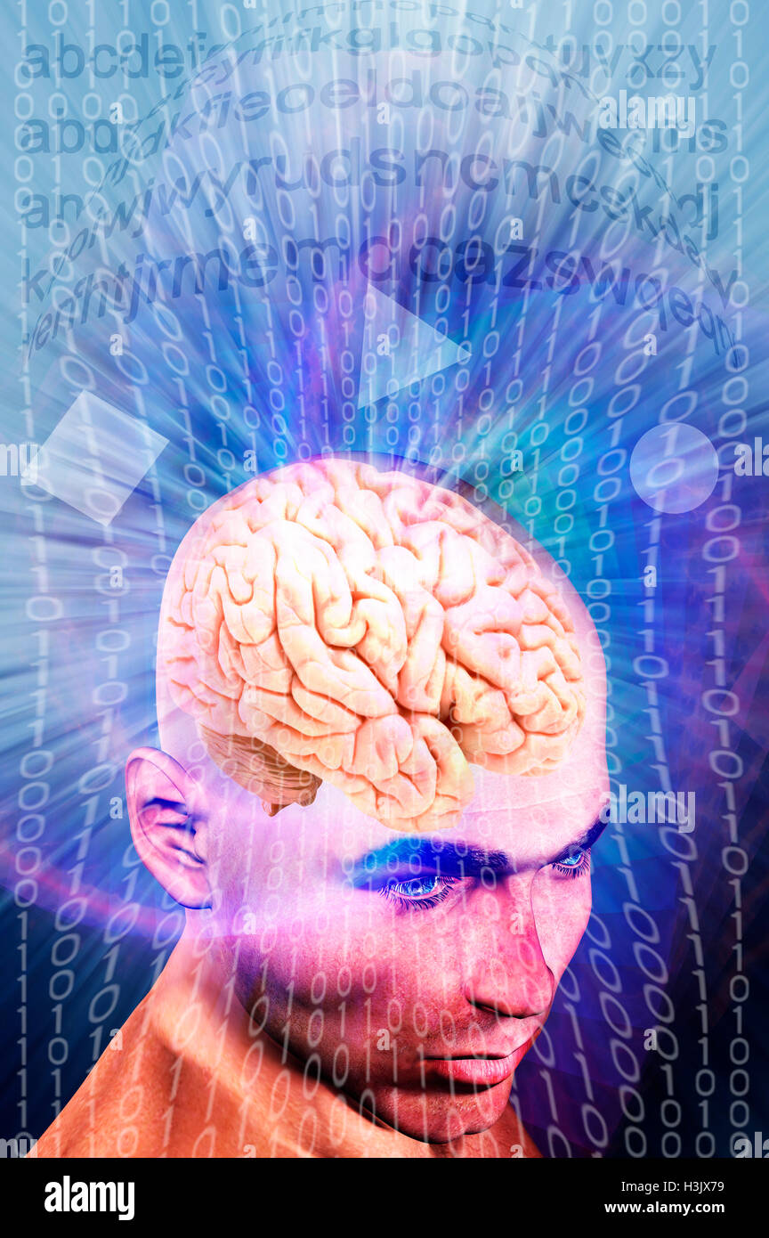 Brain training hi-res stock photography and images - Alamy