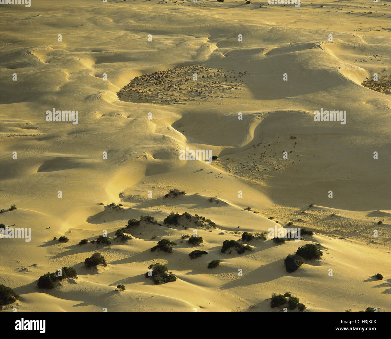 The Pinnacles Desert from the air Stock Photo - Alamy