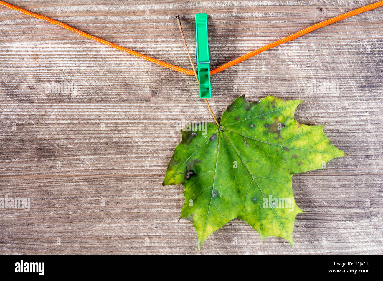 Rope peg hi-res stock photography and images - Alamy